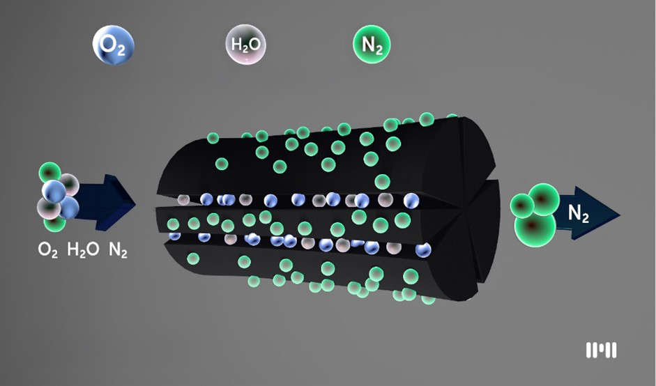 Importance of Nitrogen Gas and Purity Ratios in Industrial Applications ...